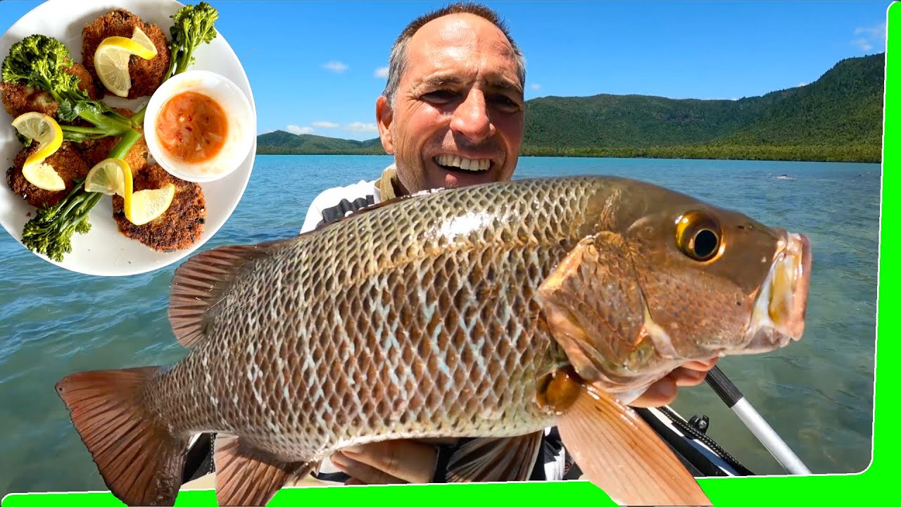 Day 2 mini Mother ship topwater fishing - Fish cakes - catch n cook ...