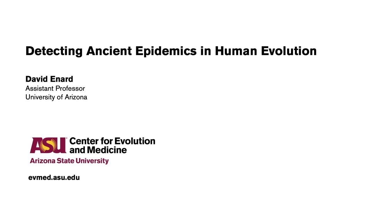 Detecting Ancient Epidemics in Human Evolution - David Enard - YouTube