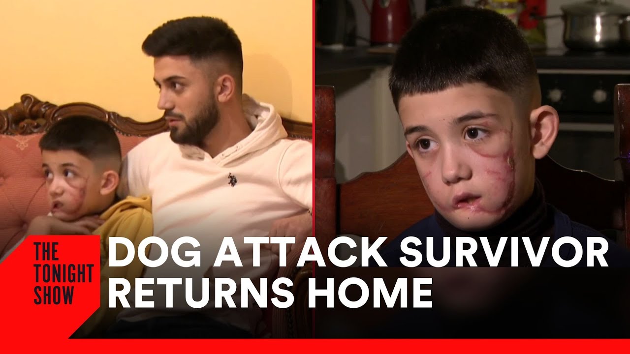 "It's a dream come true to have Alejandro home" | Brother of dog attack ...