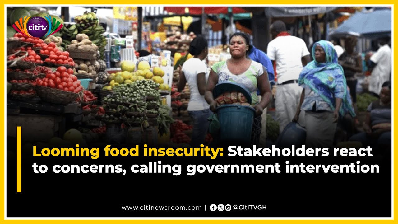 Looming food insecurity: Stakeholders react to concerns, calling ...