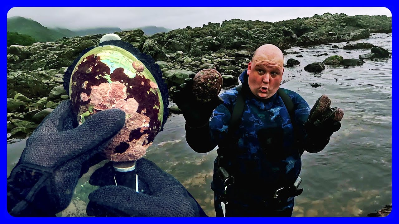 Found BIG Paua in Kaikoura's 2ND PAUA SEASON [4K] - YouTube