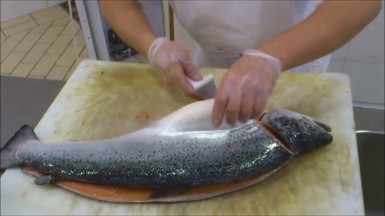 ANGEL..... The fillet Master at TSC shaab... - YouTube