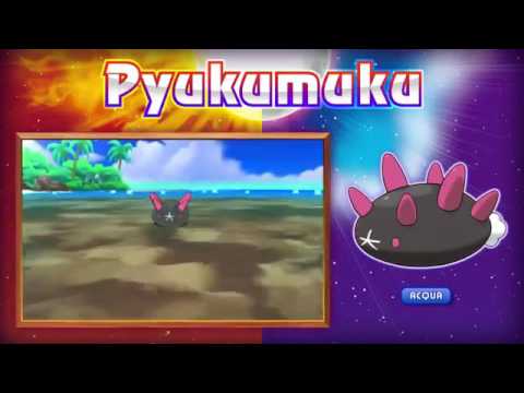 Pyukumuku il Nuovo Pokémon di Alola - YouTube