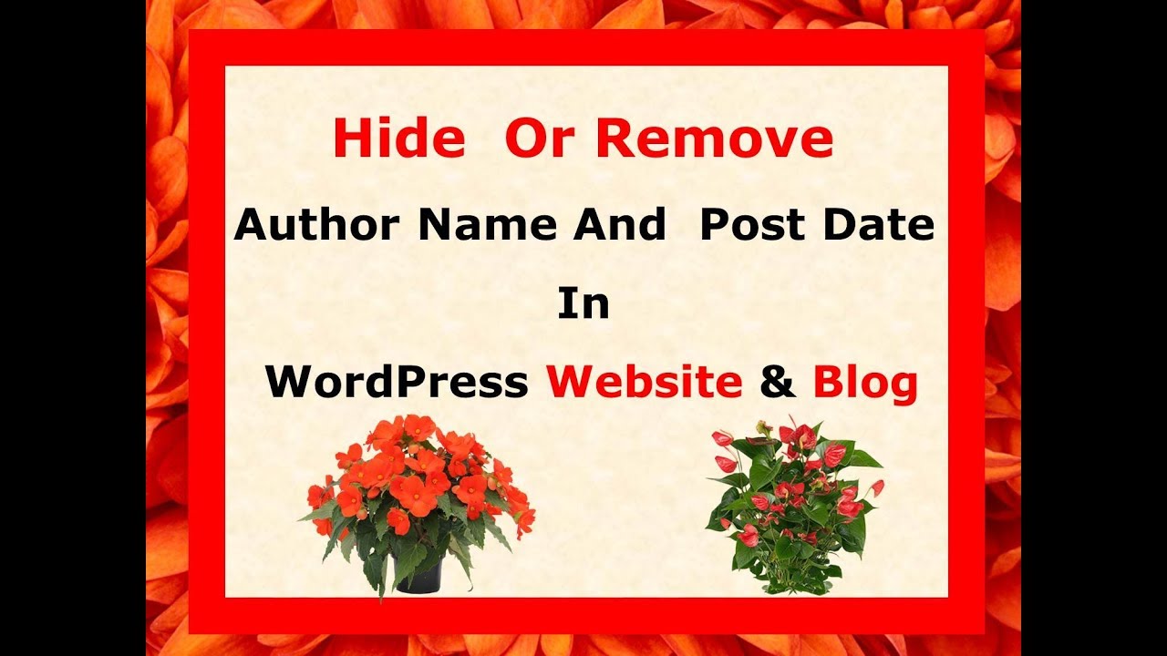 How To Hide Author Name And Date From Posts Wordpress Website And Blog how-to-hide-author-name-and-date-from-posts-wordpress-website-and-blog