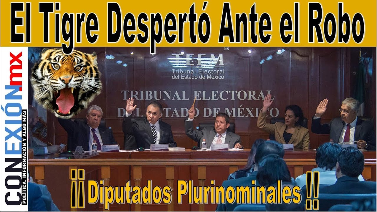 MORENA con colmillo retorcido a defender diputaciones - YouTube