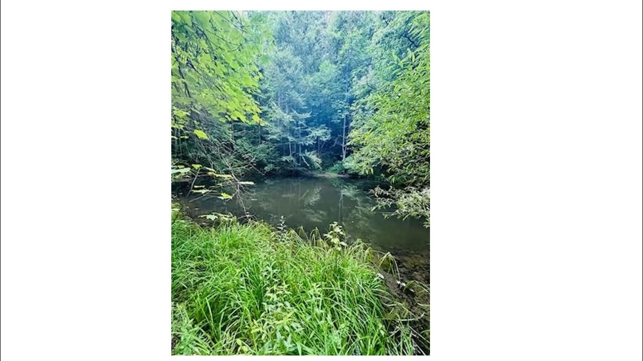 52-acres-of-land-for-sale-in-manchester-ky-youtube