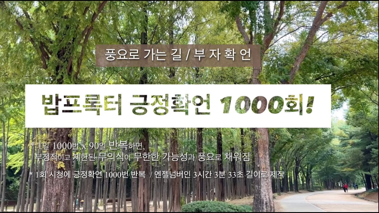 부의 끌어당김 밥프록터 긍정확언 1000번 X 90일 반복하면 무의식에 부와 풍요가 채워지는 법칙 잠재의식을 바꿔 새로