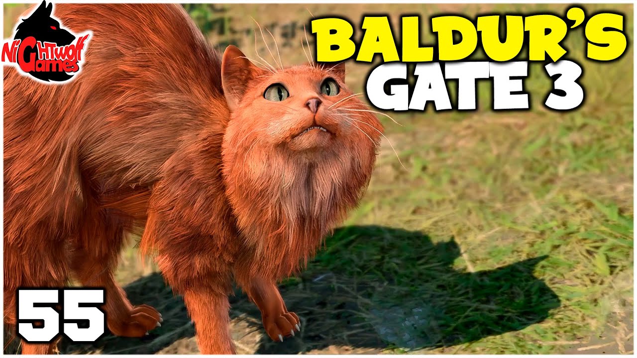 Baldur's Gate 3 #55 - Ato 3 e a Cidade de Rivington - Gameplay PT-BR ...