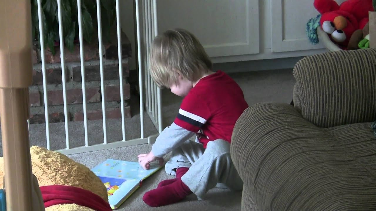 Max Reading Book - YouTube