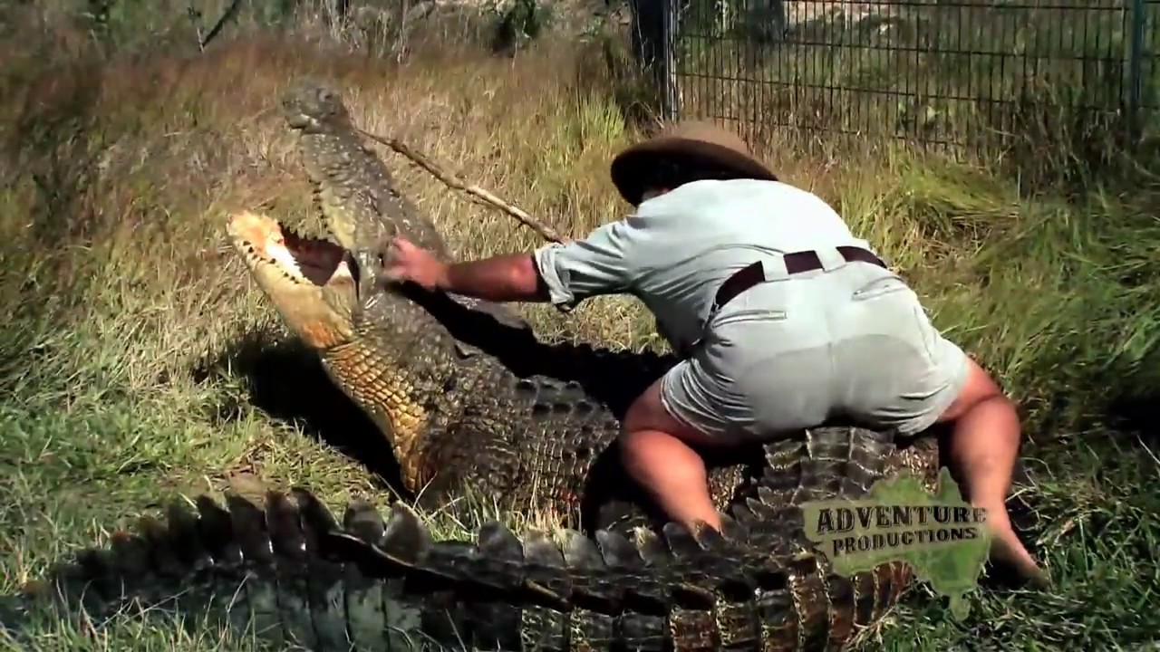 Australian Crocodile Documentary Video Catching Crocodiles with Rob ...