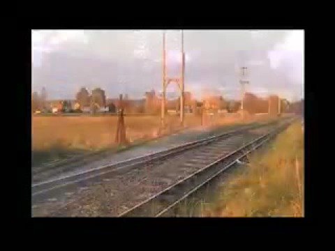 RHDR Basil The Bug Weekend 2008 - YouTube