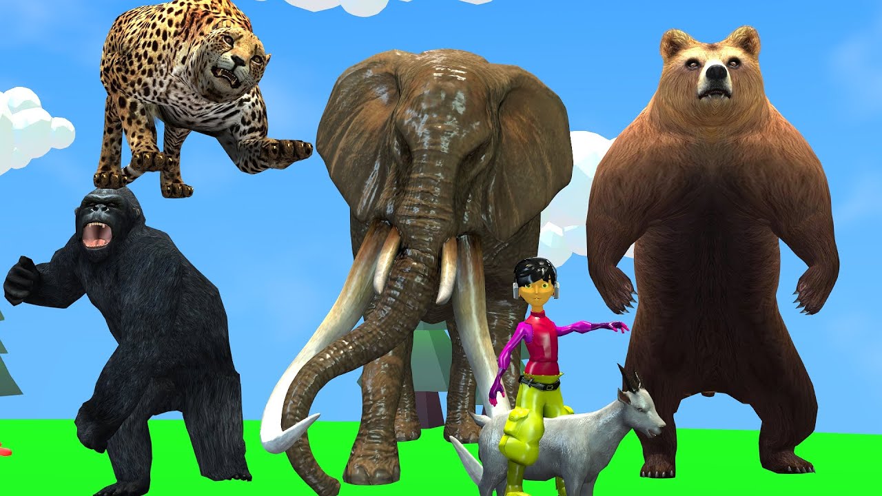 Game animals Elephant gorilla cartoon bear Animation cheetah - YouTube