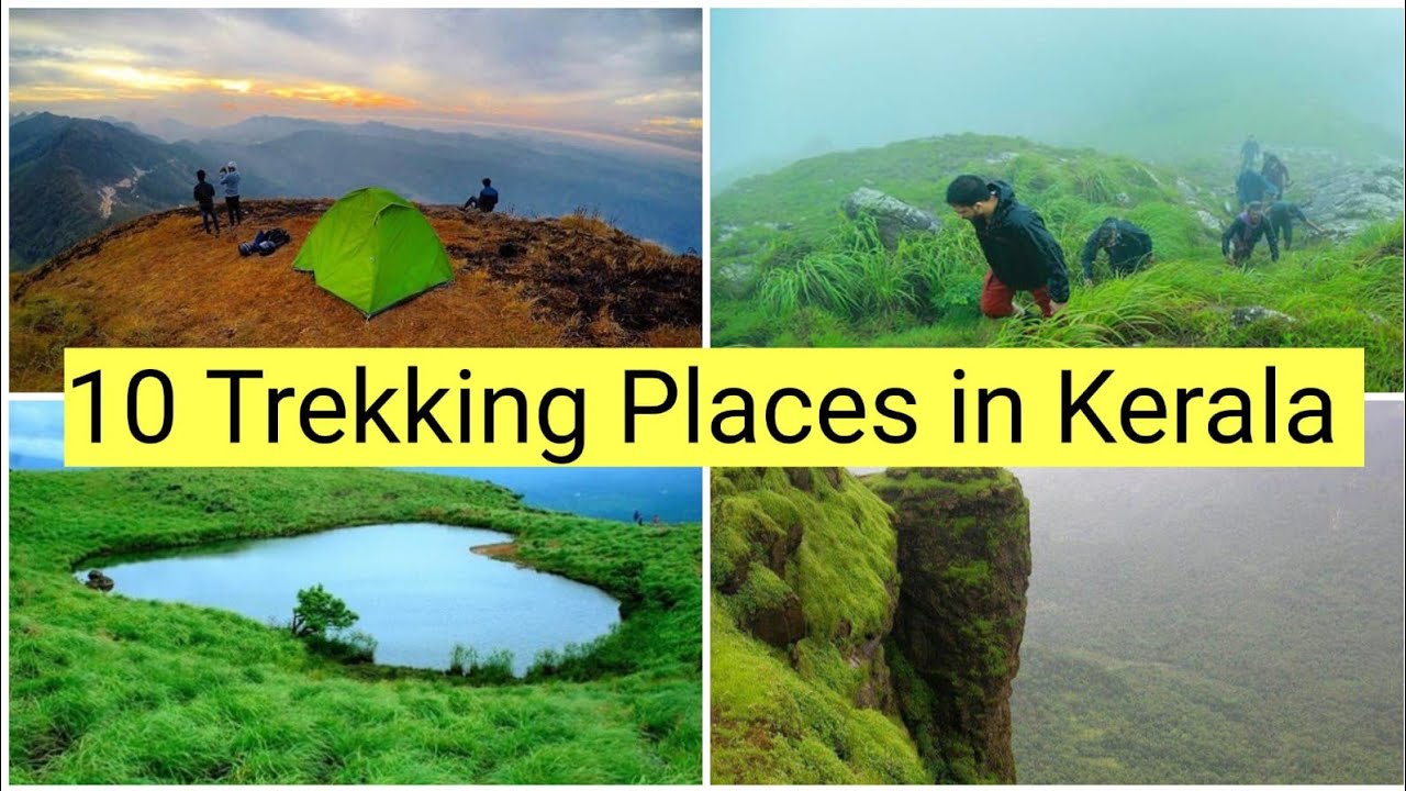 Top 10 Places To Trek In Kerala|Trekking Places Fo[r Beginners|Travel ...