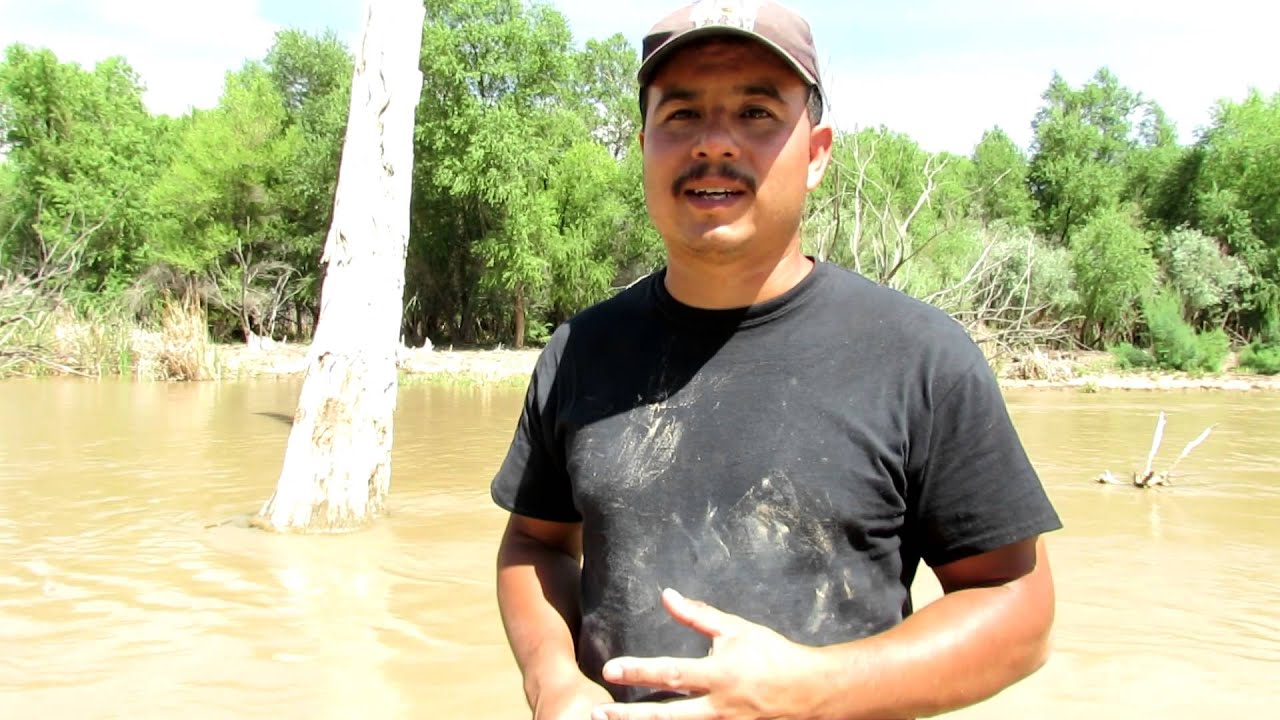What Is A Catfish Clonk - YouTube