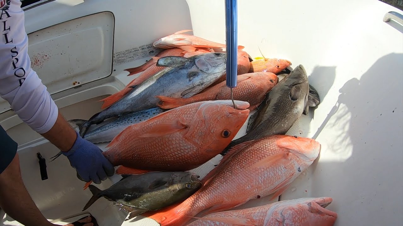 Solid Red Snapper Bite Destin Florida || Sethwentfishin - YouTube