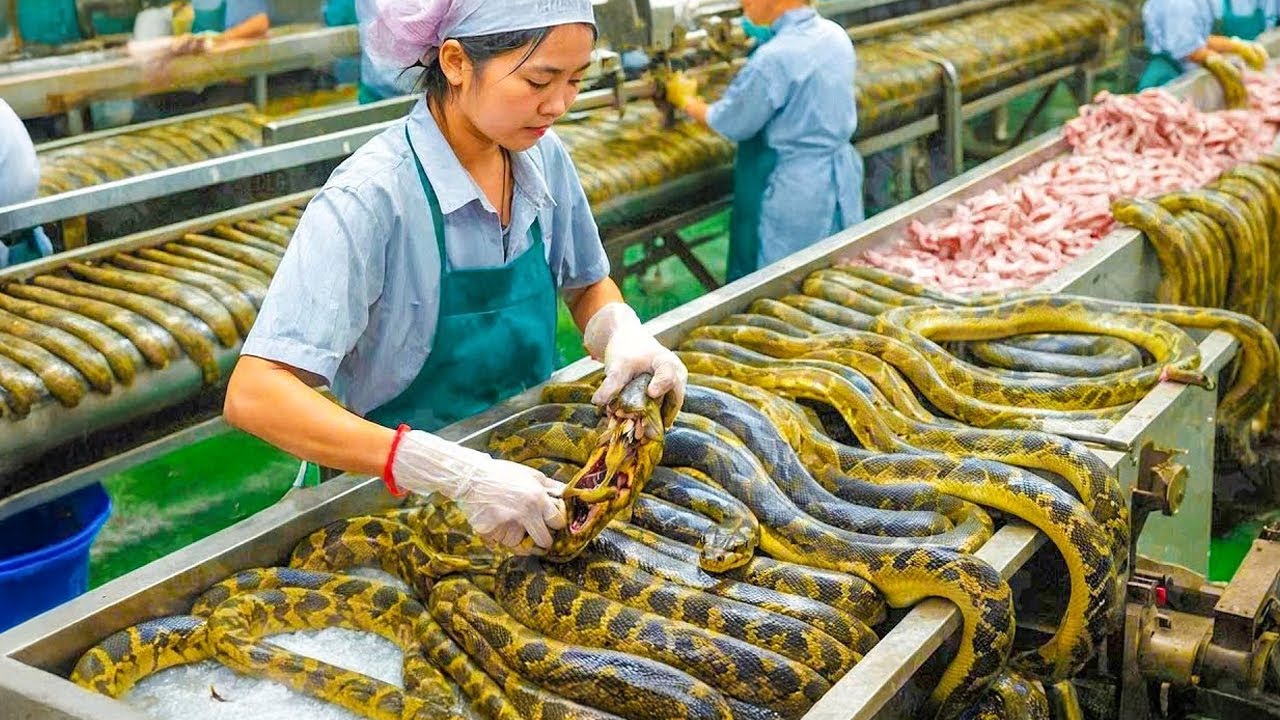 Industry Machines That Are On Another Level - YouTube