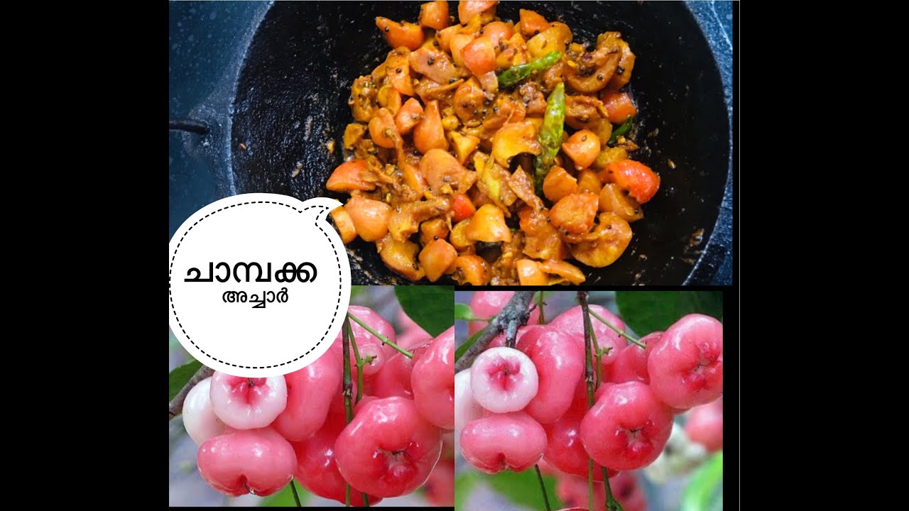 ചാമ്പക്ക അച്ചാർ || Rose apple pickle ||instant Pickle recipe - YouTube