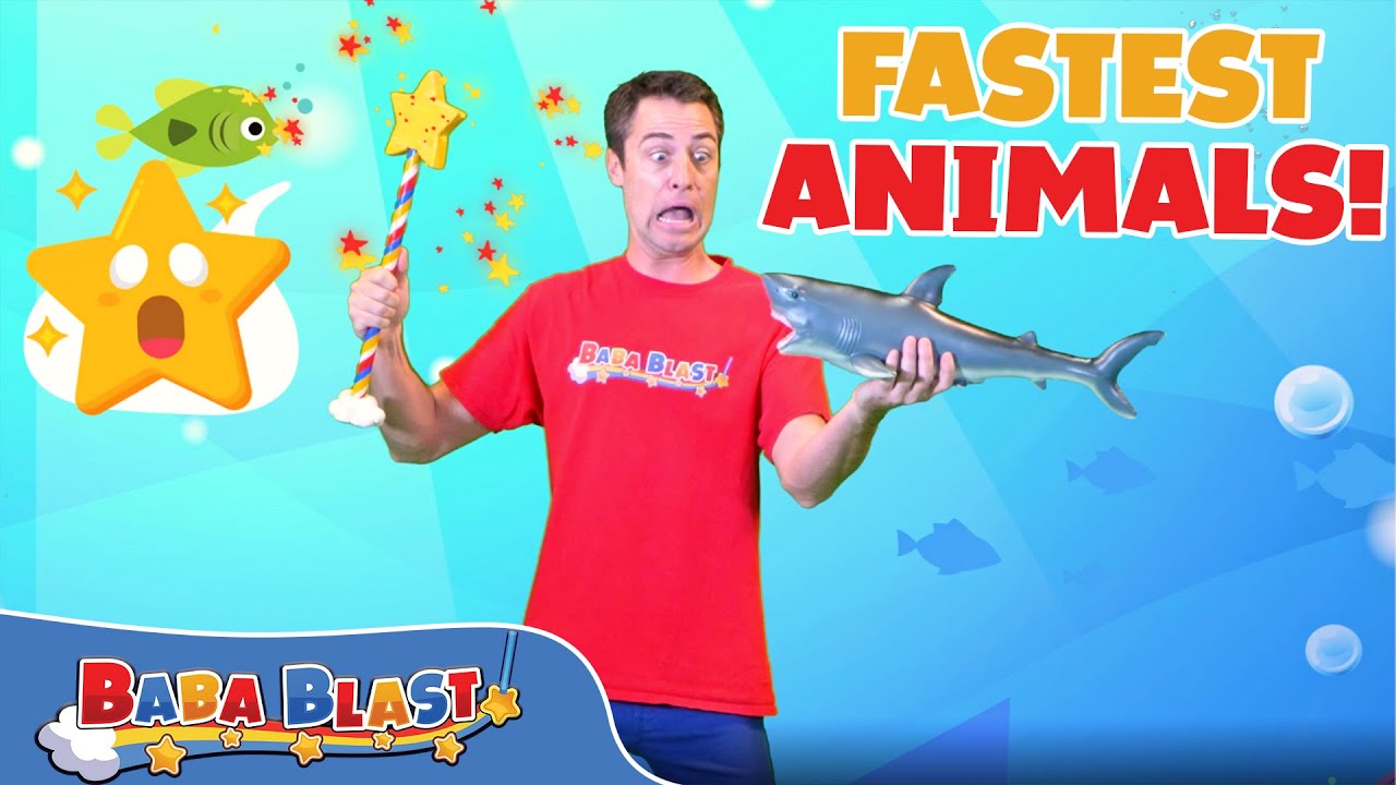 Fastest Animals | Educational Videos for Kids | Baba Blast! - YouTube