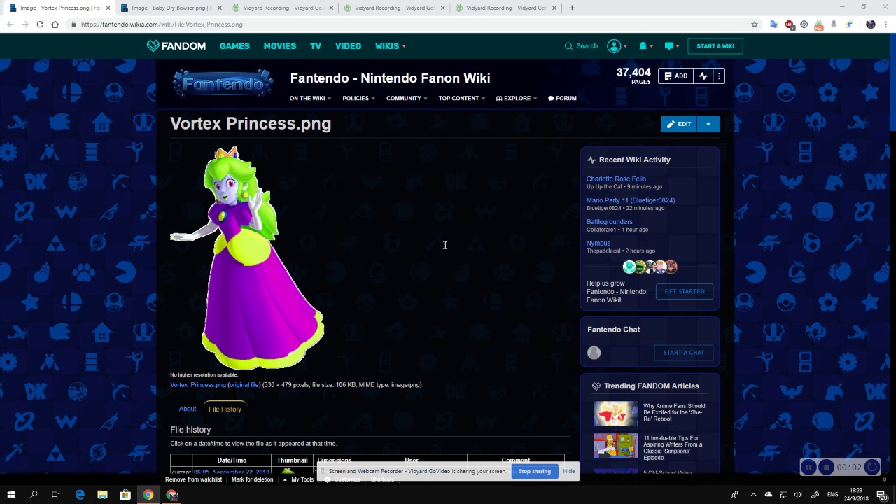 I Made Vortex Princess On Fantendo - YouTube