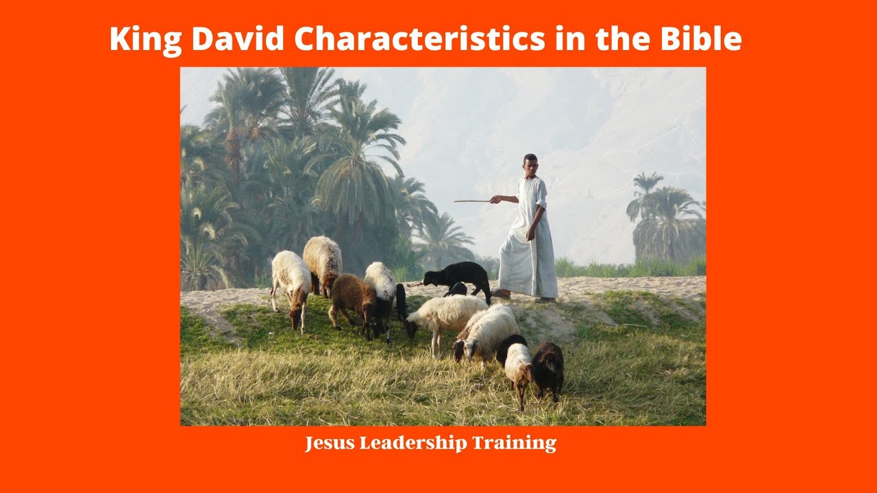 King David Characteristics in the Bible - YouTube