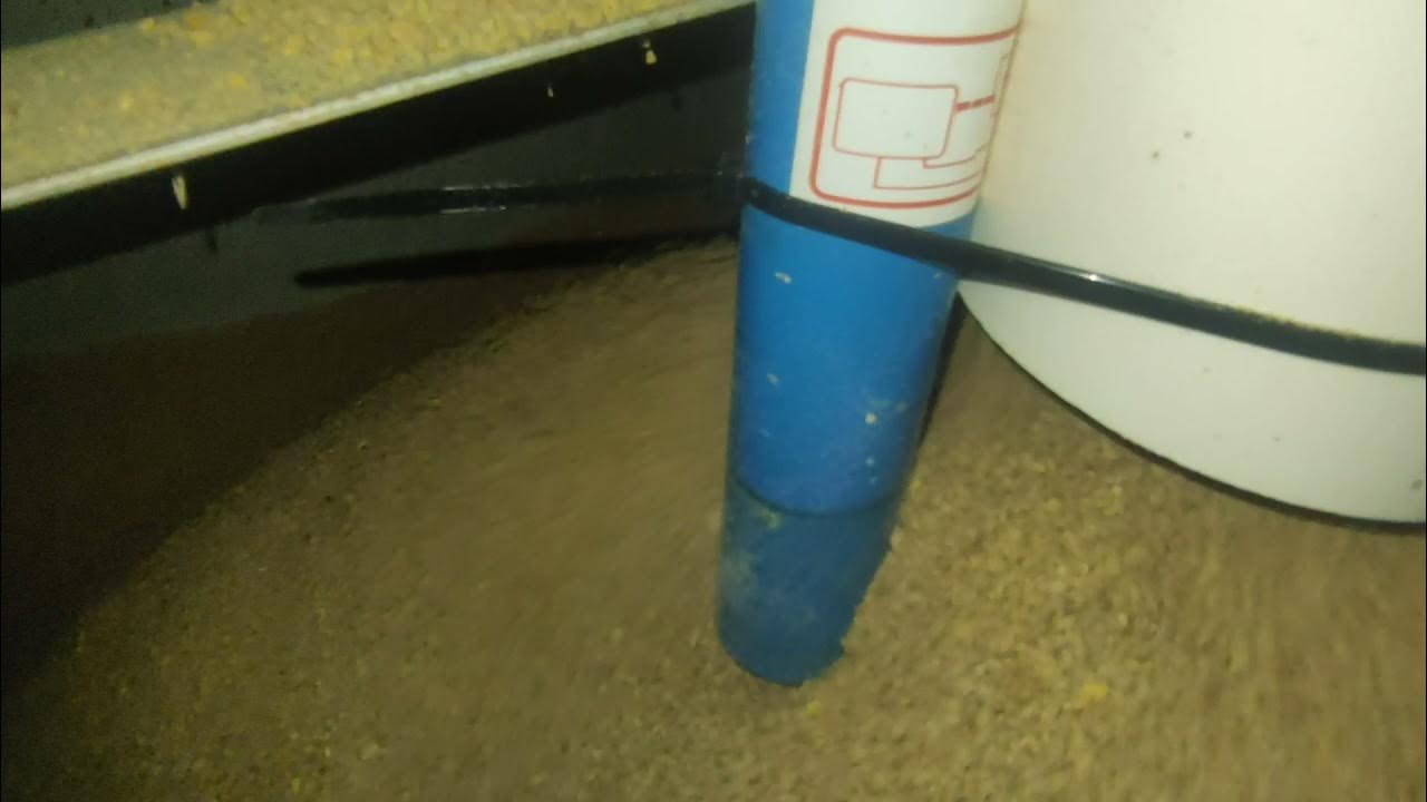 memantau hopper pakan otomatis kandang ayam broiler closed house - YouTube