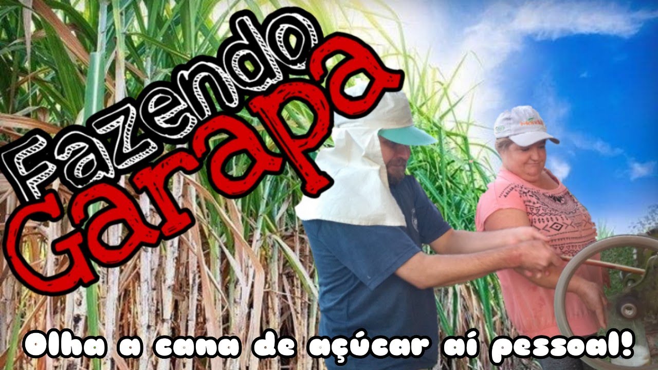 Cana de açúcar| fazendo garapa (guarapa)🥰 #fiqueemcasa #comigo - YouTube