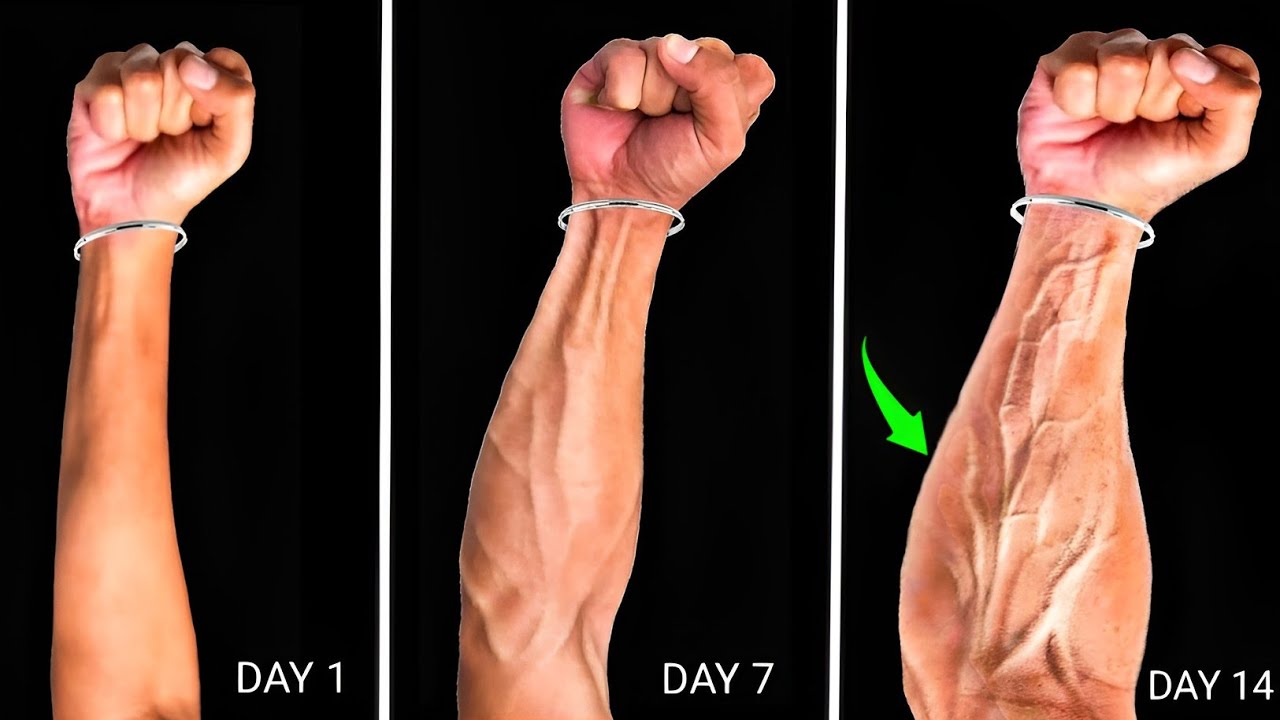 6 Best Exercises For Forearms | Home Workout - YouTube