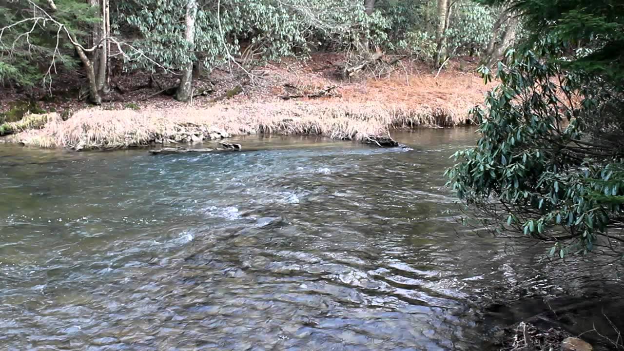 LandsofAmerica.com: 47 acres in West Virginia - YouTube