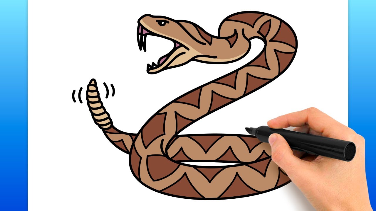 How To Draw A Rattlesnake (Easy Drawing Tutorial) - YouTube