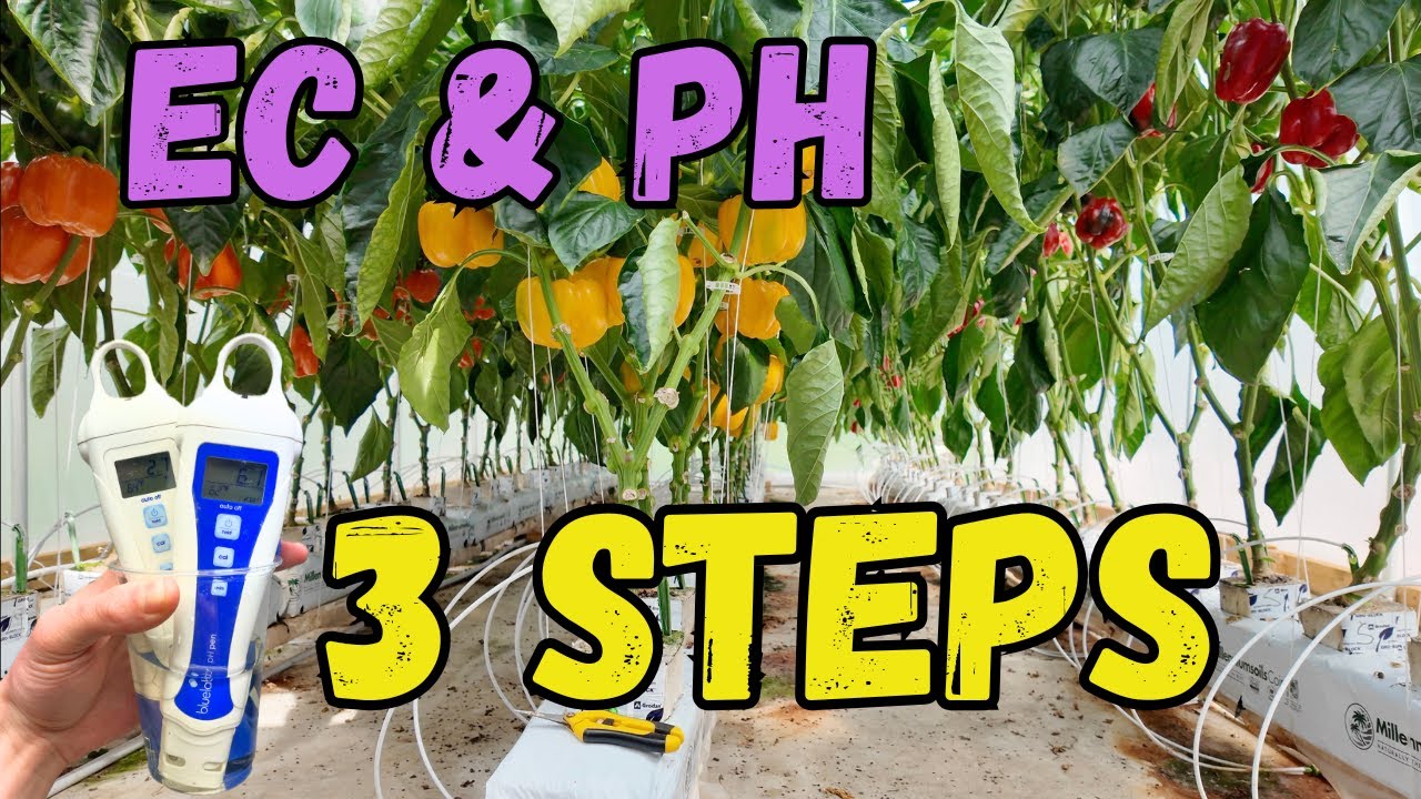 3 Steps to Perfect EC & pH in Hydroponics (Root Zone Secrets) - YouTube