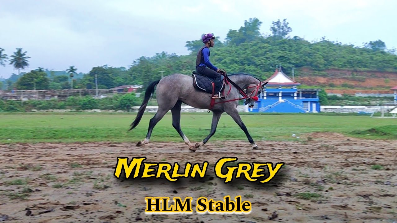 Merlin Grey - YouTube