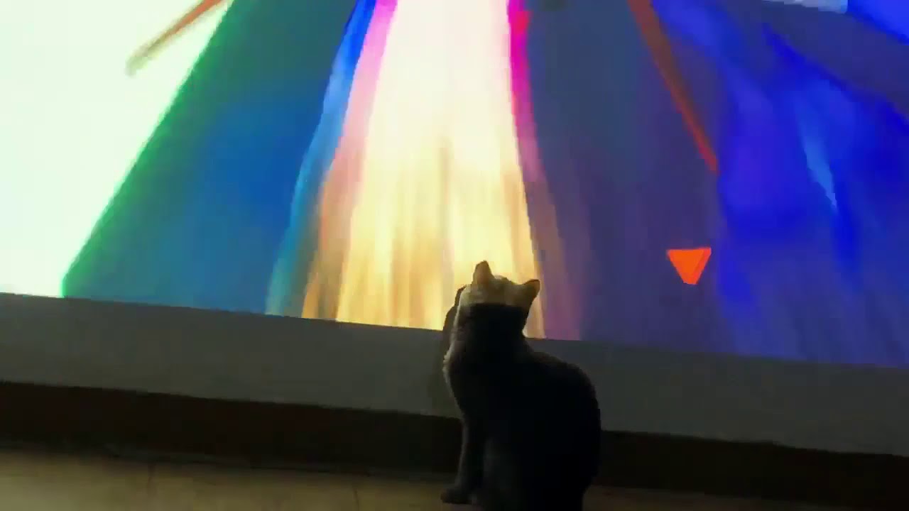 Playing Redout on my Epson projector (cat for scale) - YouTube