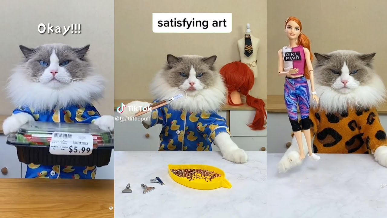 That Little Puff - BEST TikToks April 2023 - YouTube