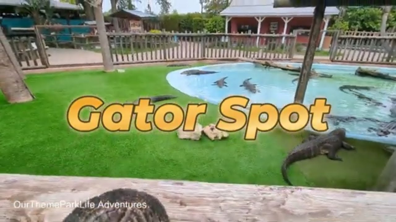 🐊 Exploring Gator Spot at Fun Spot America! | Up-Close with Gators ...