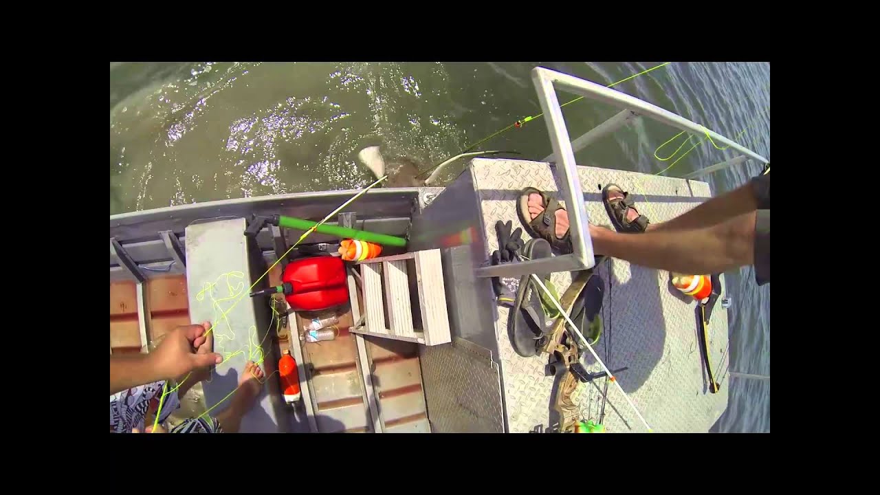 Stingray Bowfishing Virginia 2013 - YouTube