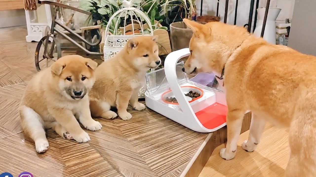 This is what makes Raya so special ️ - YouTube