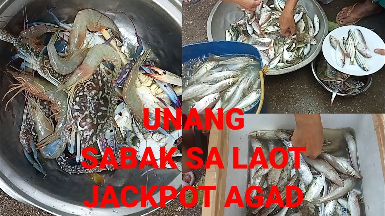 Ep1 unang sabak sa laot jackpot agad,/ fishing/ Milagros Masbate. - YouTube