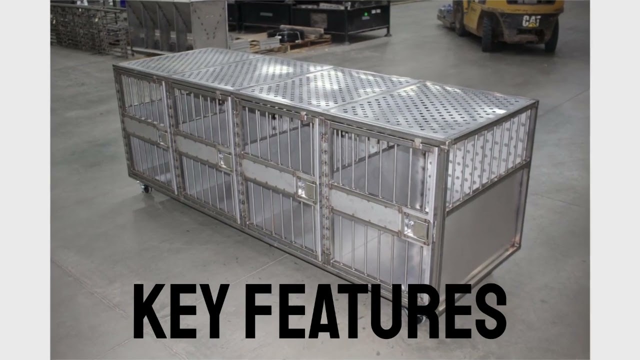 SDI Stainless Steel Dog Kennels - YouTube