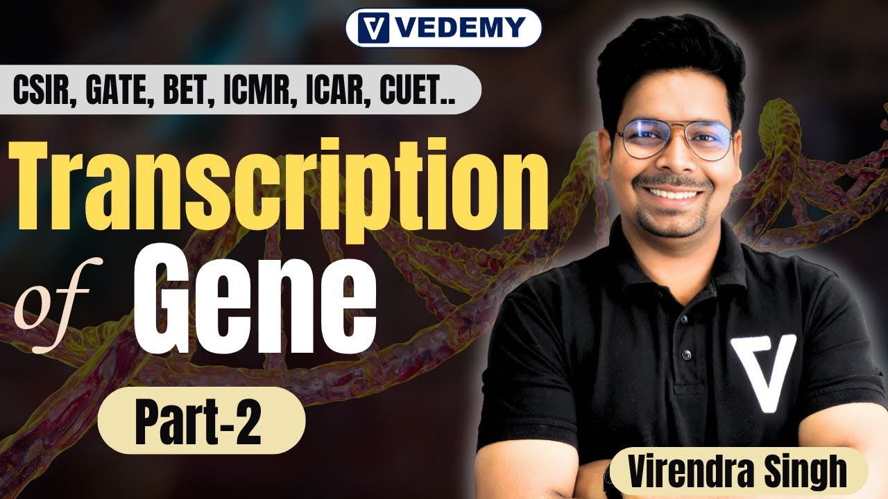 Transcription of Gene: Quick Revision -(part -2) - YouTube