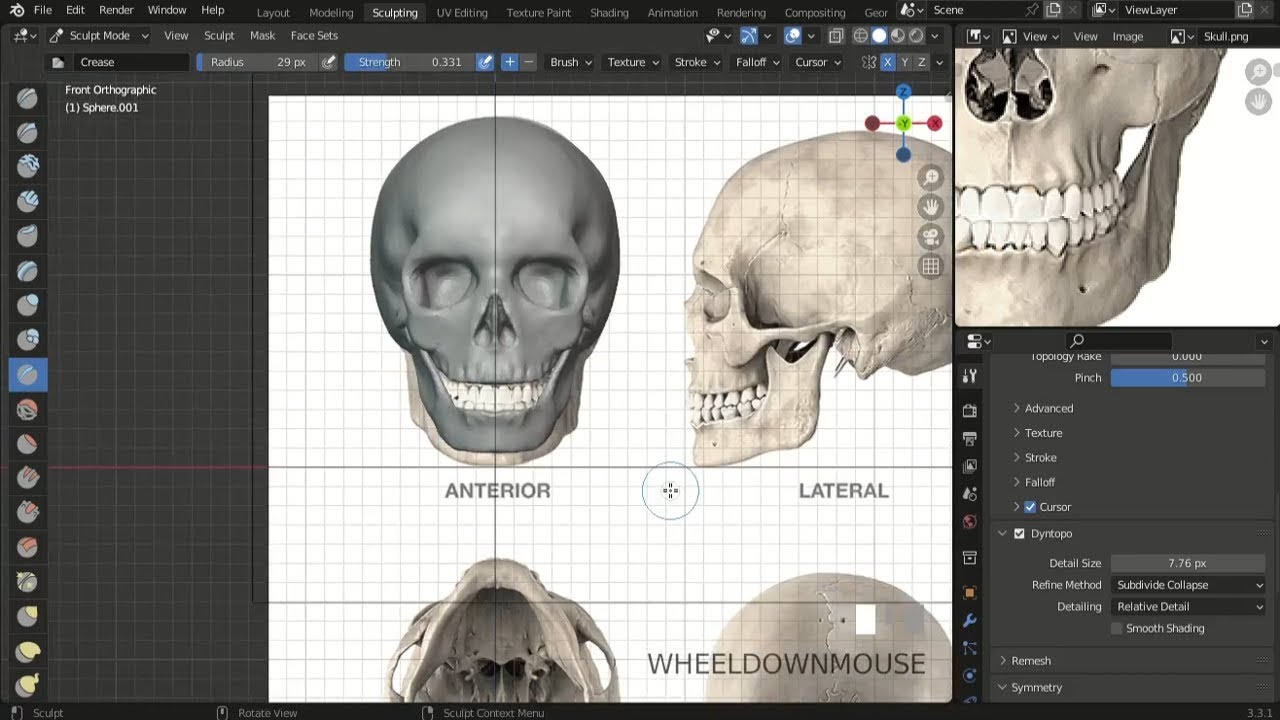 Sculpting Skull in Blender 3 Part 1 - YouTube