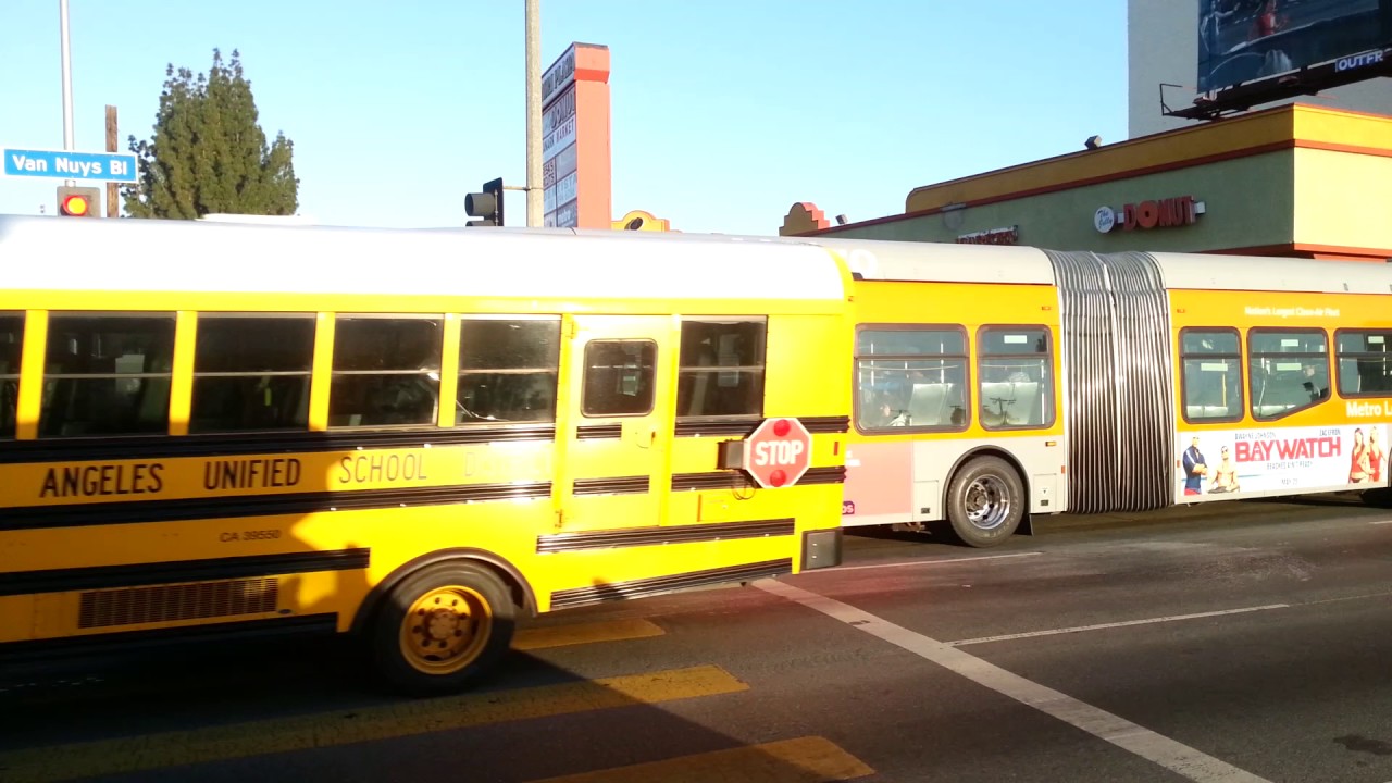 Metro la bus 233,and 788 lausd school bus, LADOT DASH BUS and school ...