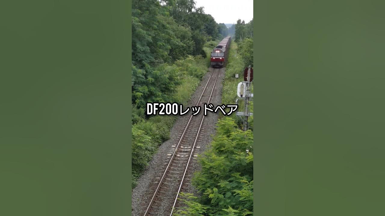 ストレートを走るフルコンレッドベア #shorts #鉄道 #jr貨物 #df200 #貨物列車 #train - YouTube