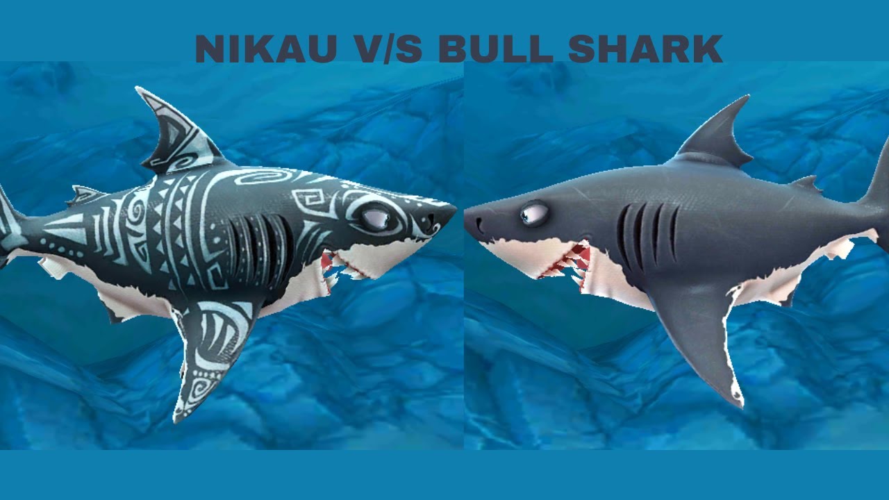 Hungry Shark World - Nikau v/s Bull Shark - Game Play - YouTube