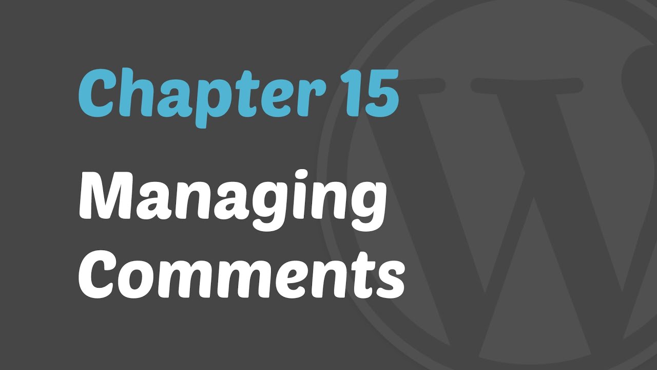 WordPress 101 Managing Comments YouTube wordpress-101-managing-comments-youtube
