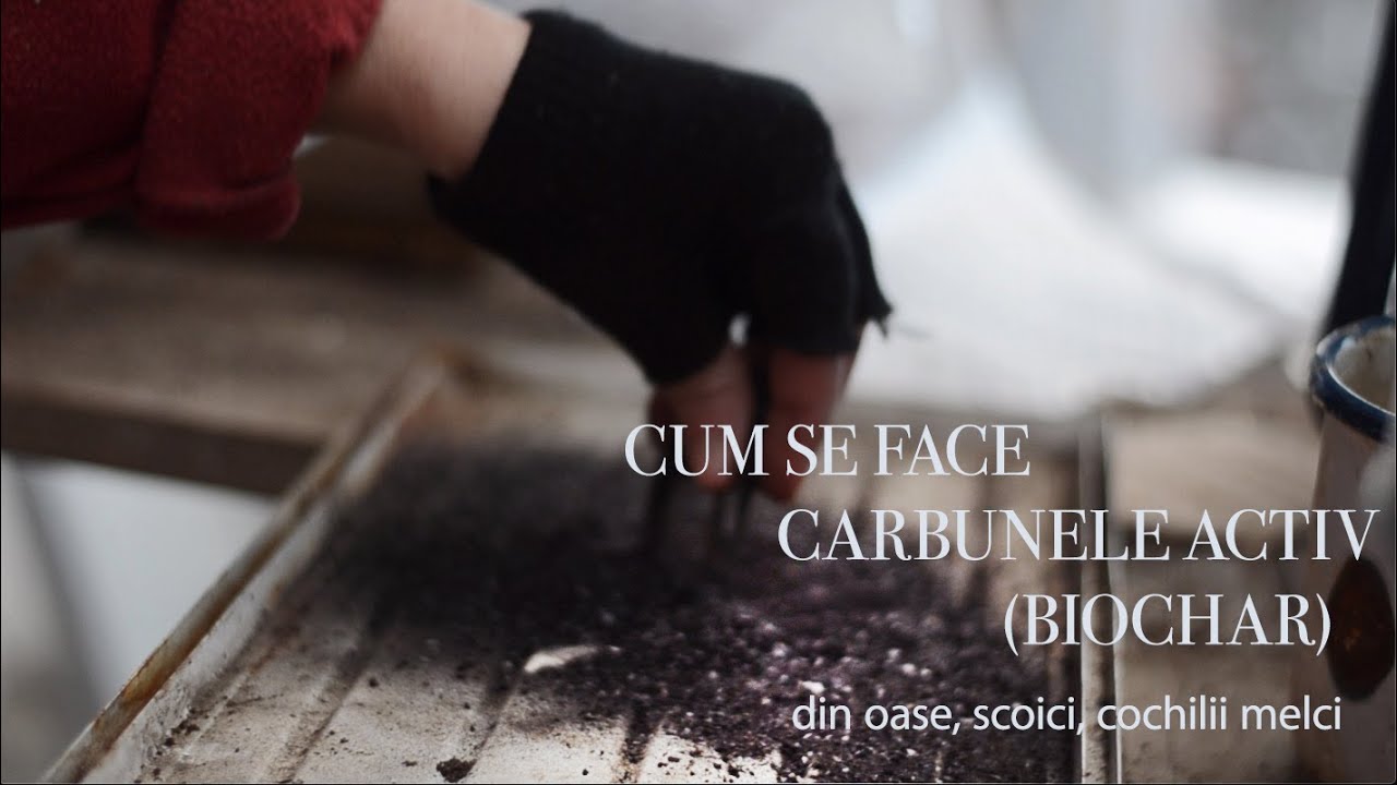 Cum se face cărbune activ ( Biochar) din oase, scoici și cochilii melci ...