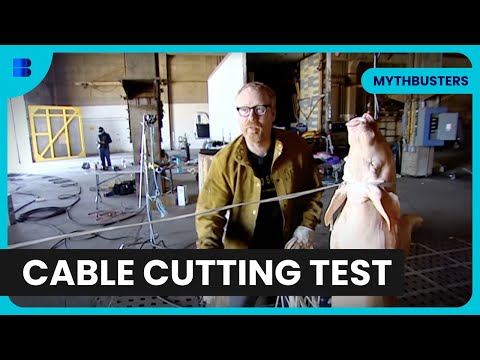 Can A Cable Cut You in Half? - MythBusters - Science Documentary