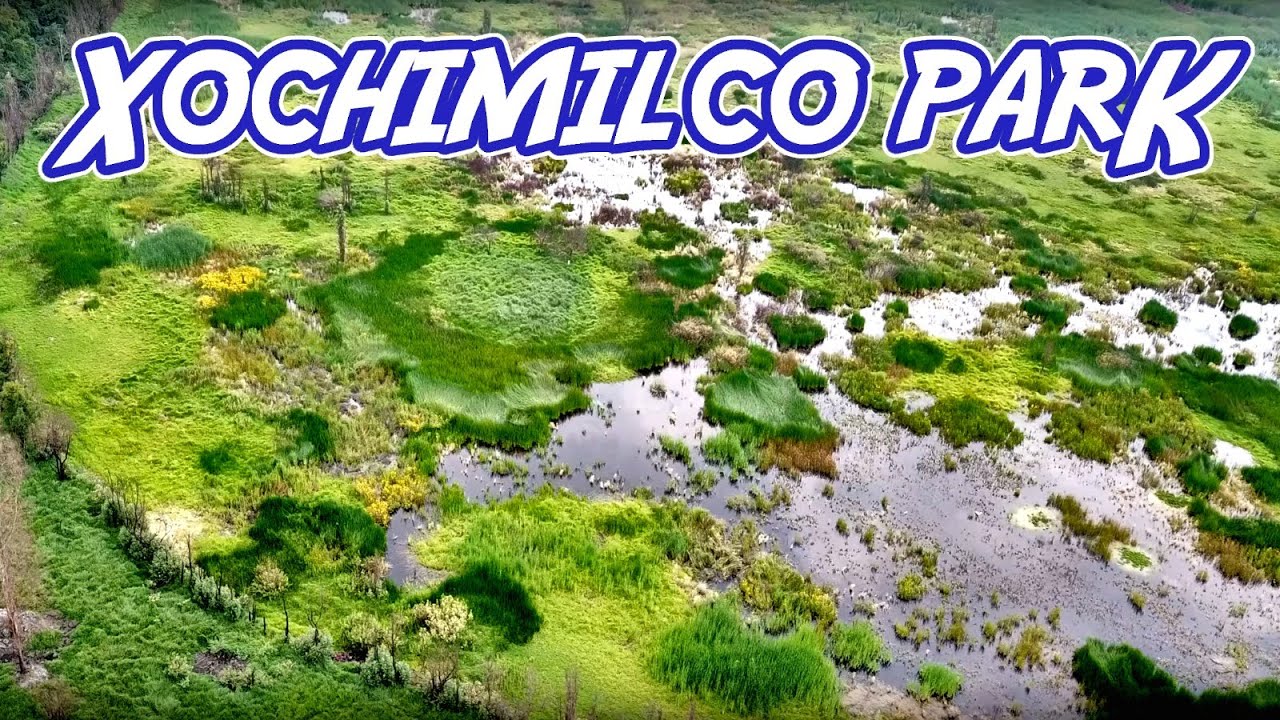 A Tour Of Xochimilco Ecological Park - YouTube