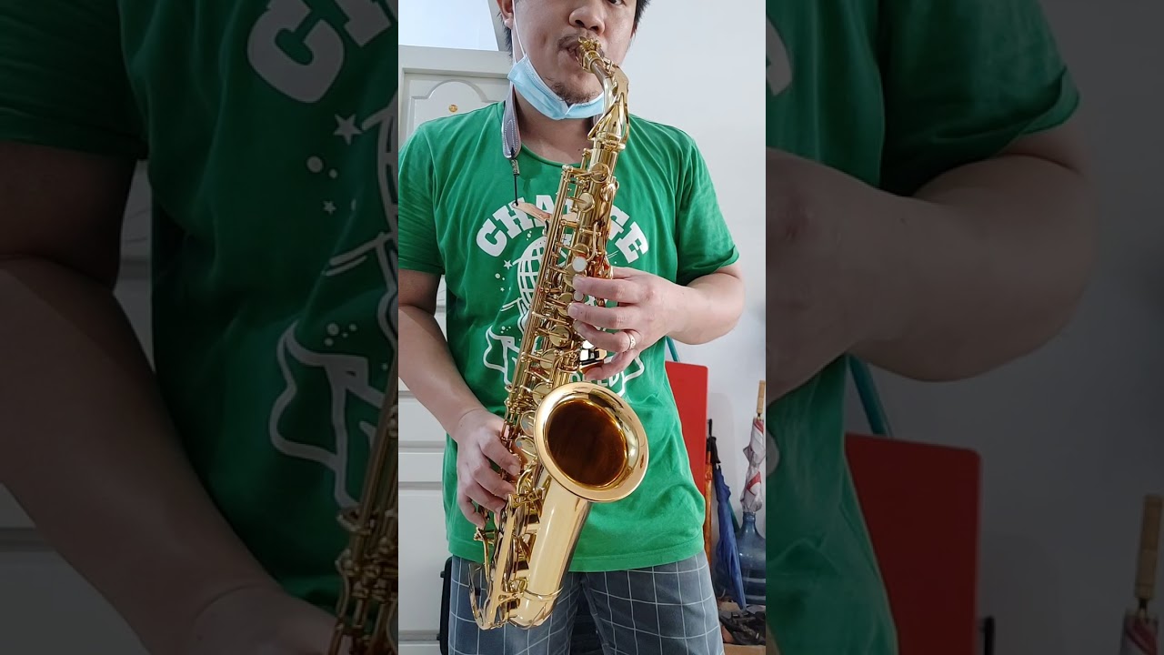 experiment yamaha alto saxophone resonator dome plastic VS maestro star ...