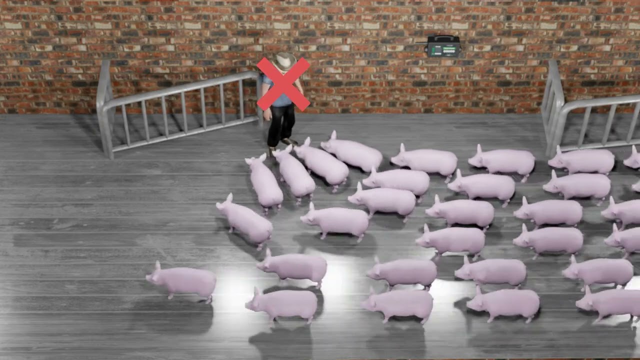 Corvitac - Pig Counter - YouTube