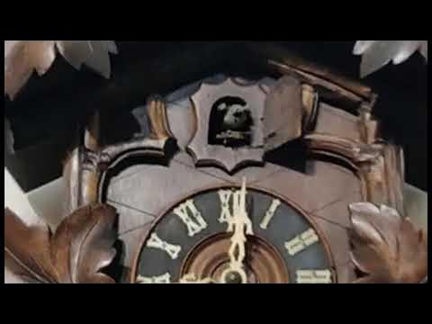 Every Cuckoo clock chiming part 1 - YouTube